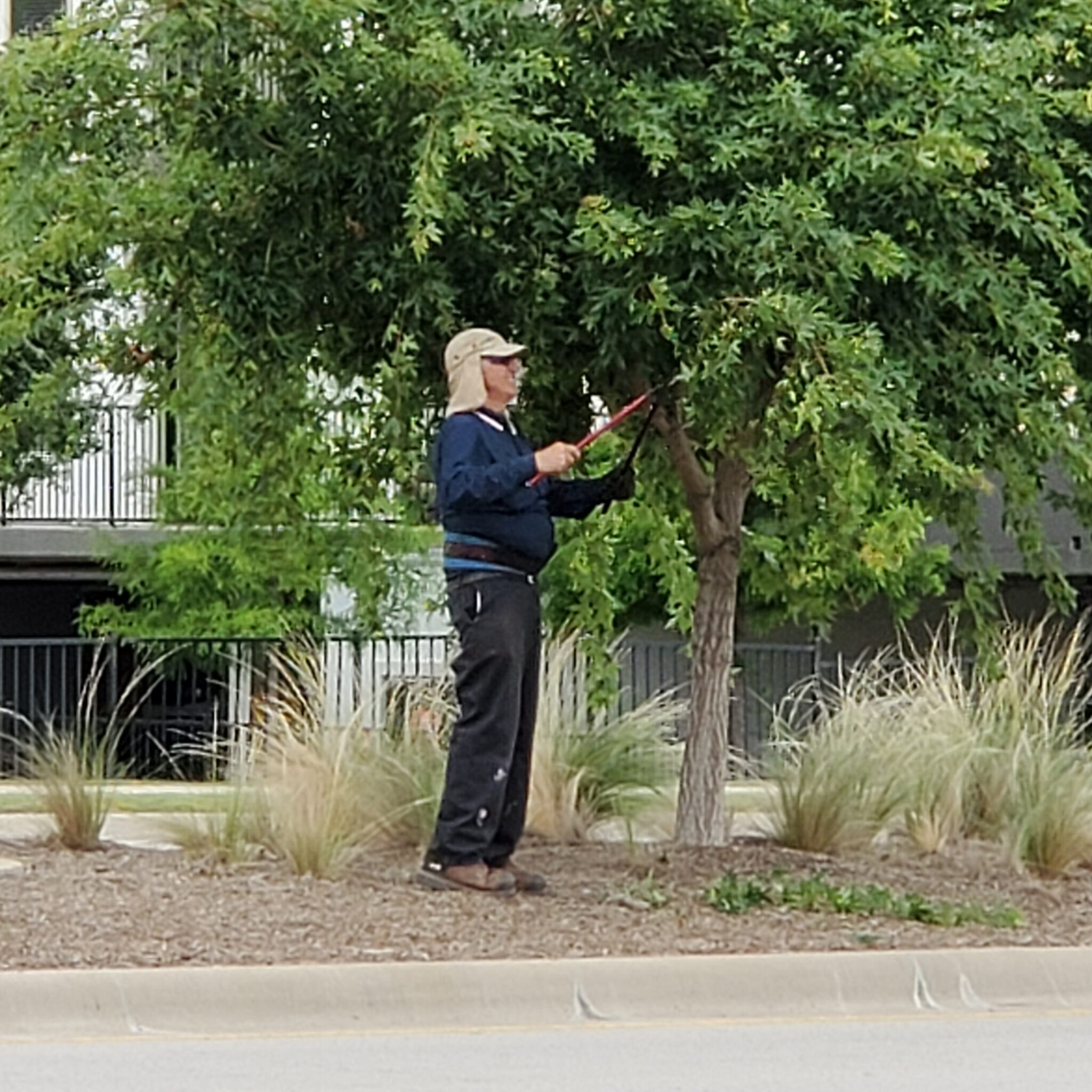 HOA Landscaping Checklist for Spring - Haven Landscaping and Irrigation